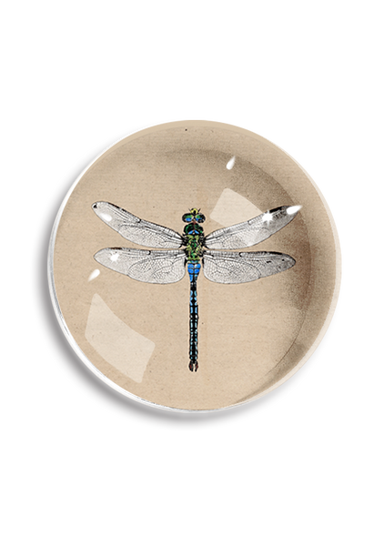 Crystal Dome Paperweight - Dragonfly – nest.